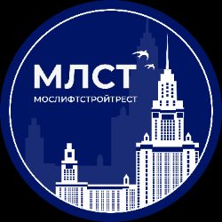 Иконка канала АНО "МЛСТ"