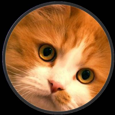 Иконка канала 🦉Николаич 🏇 🇷🇺 (@ZVN🎠)