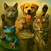 Иконка канала PetsGlade