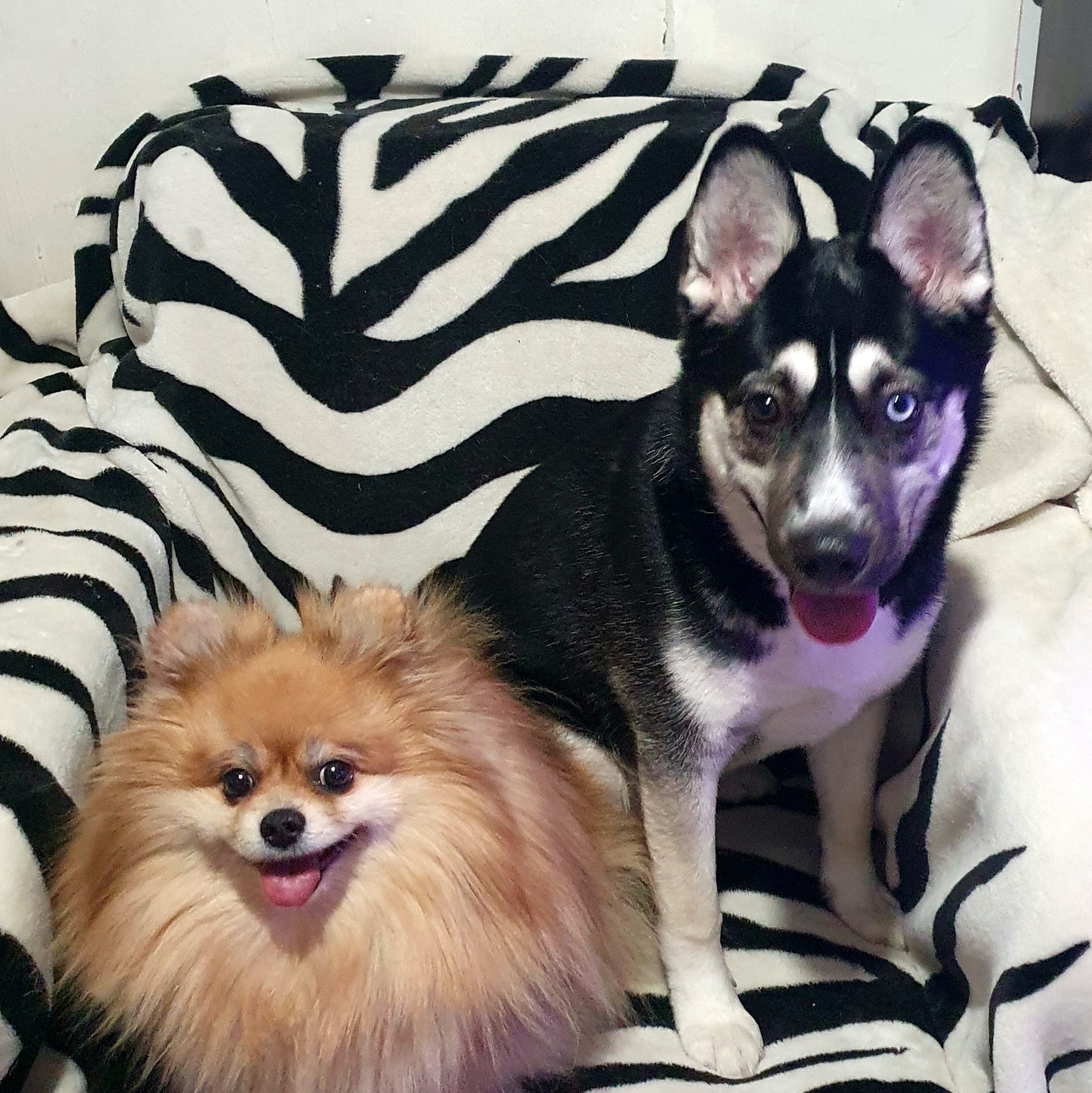 Иконка канала channel54873689