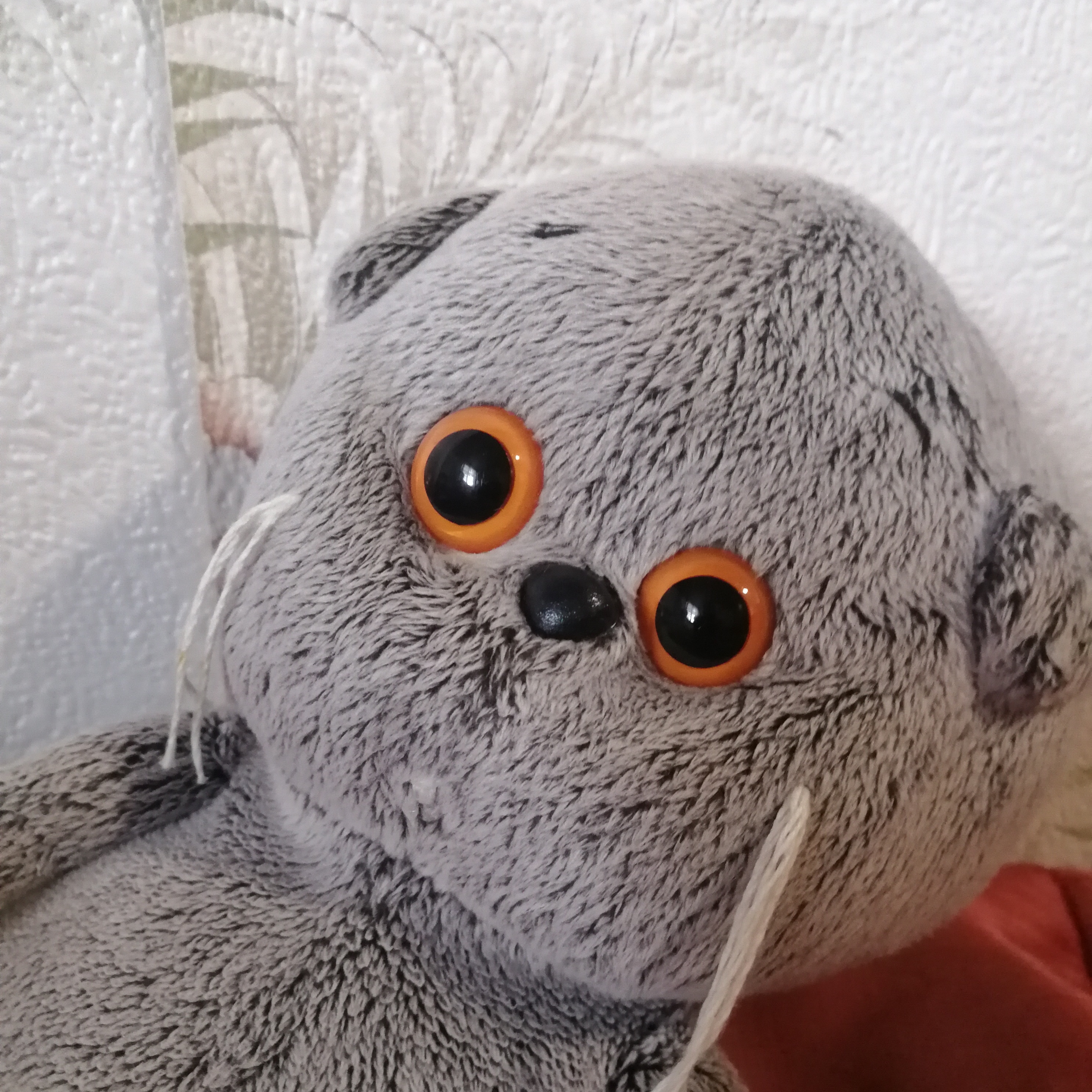 Иконка канала Кошачья История