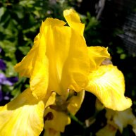 Иконка канала Людмила " Спицы-Озорницы"