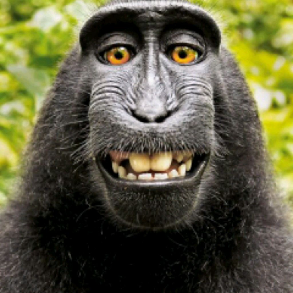 Иконка канала Животные-приколы и Не Только😄😊👅