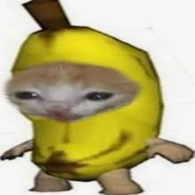 Иконка канала shiawase