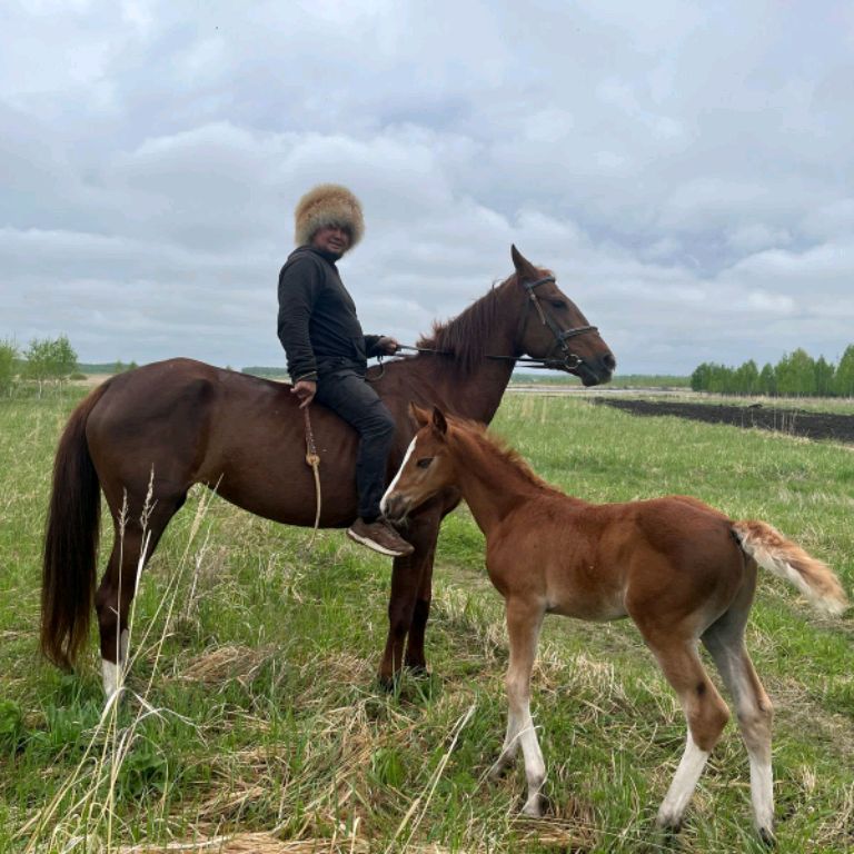 Иконка канала Азналы!