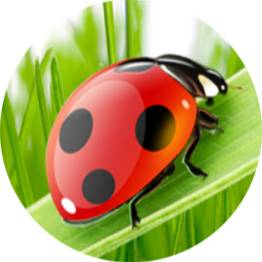 Иконка канала Диеты и голодание