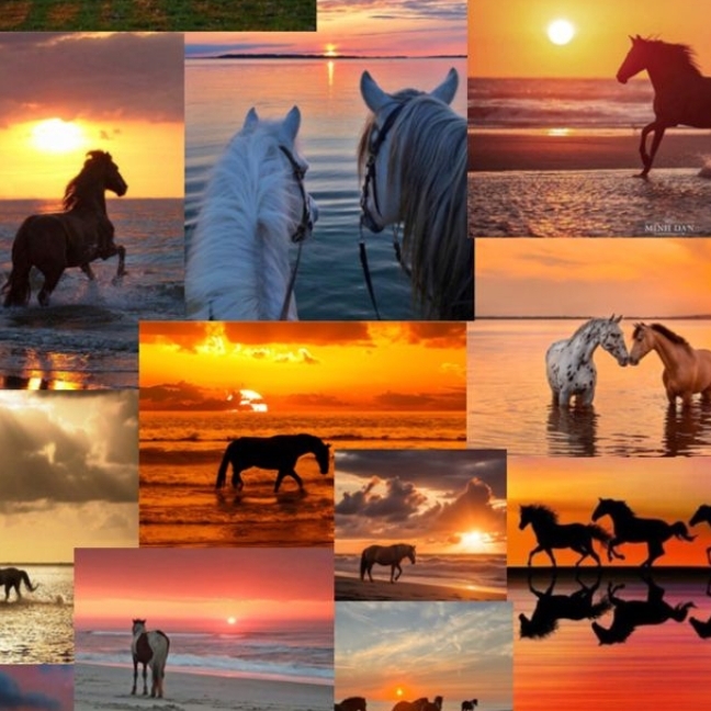 Иконка канала NeKo star ⭐