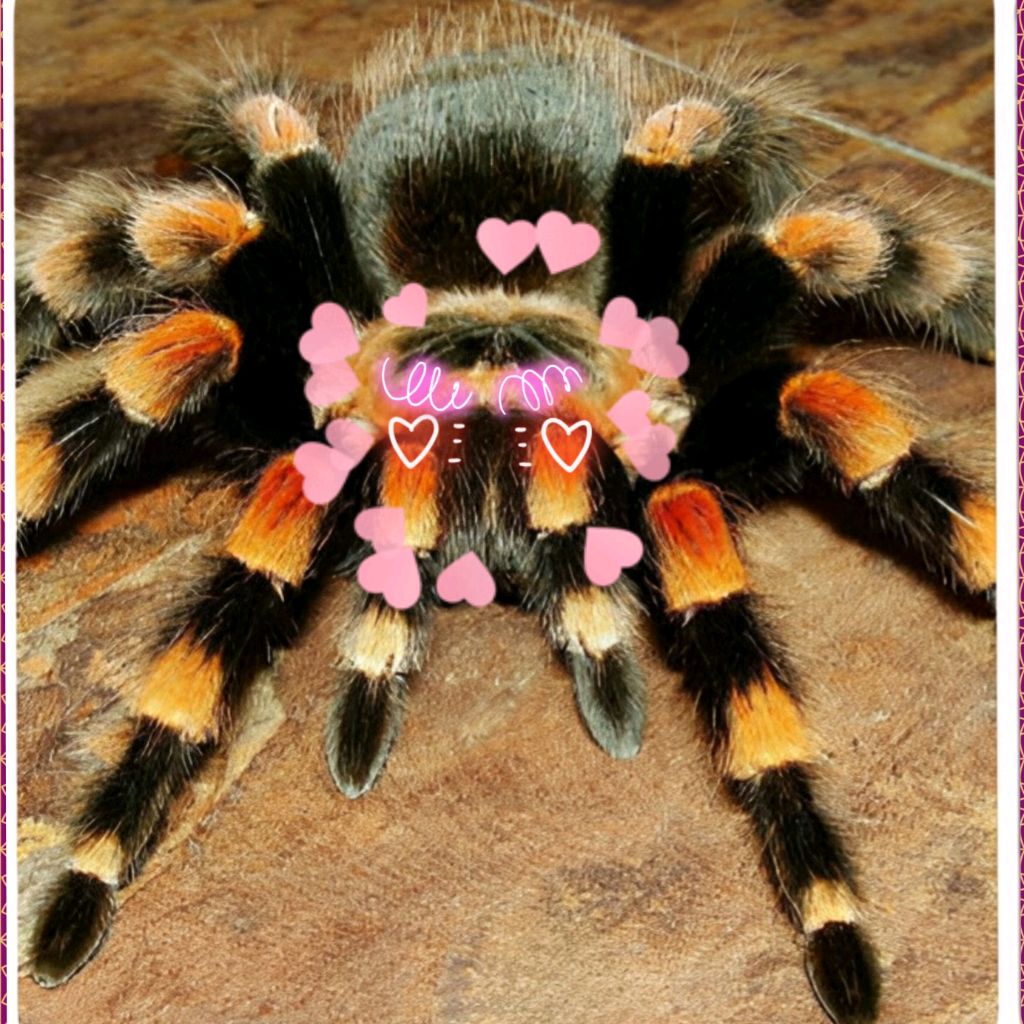 Иконка канала Глебер