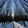 Иконка канала SL