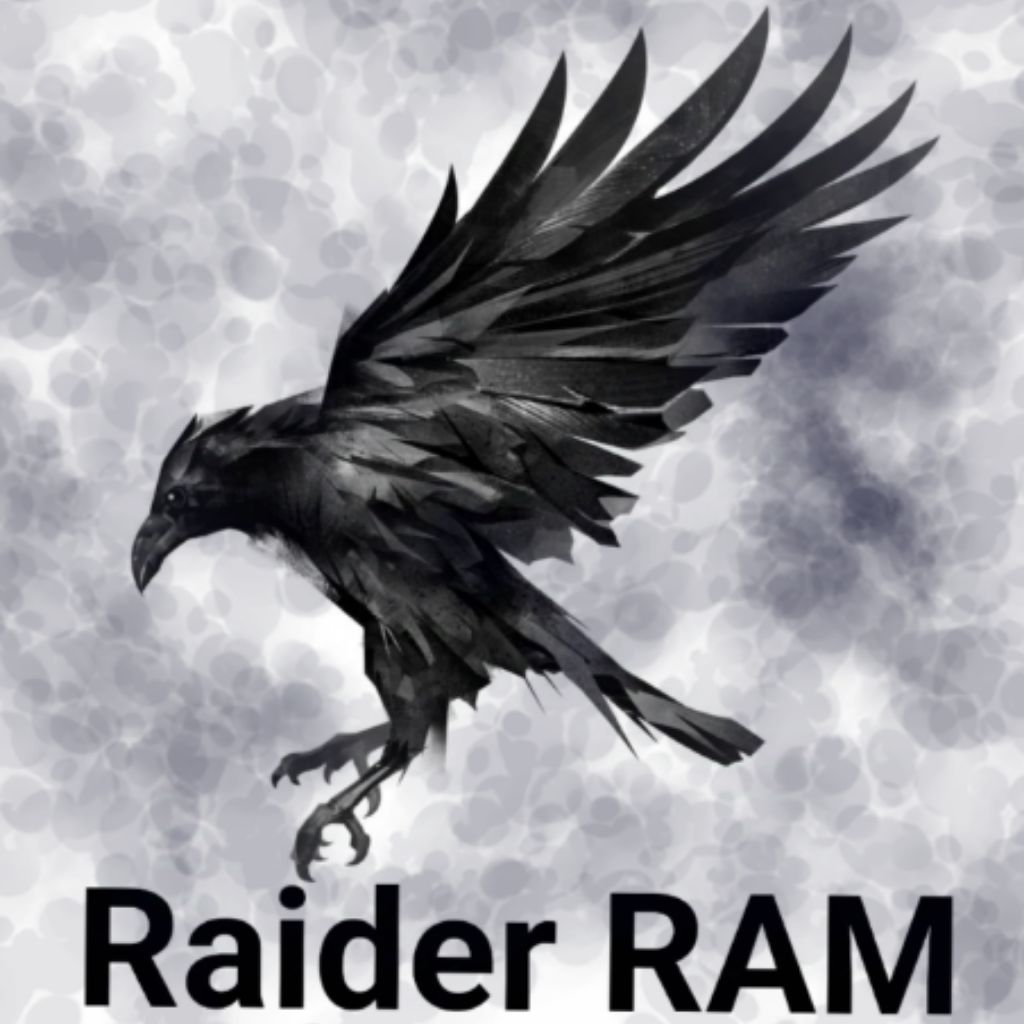 Иконка канала Raider RAM