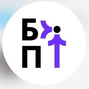 Иконка канала Бизнес Практика