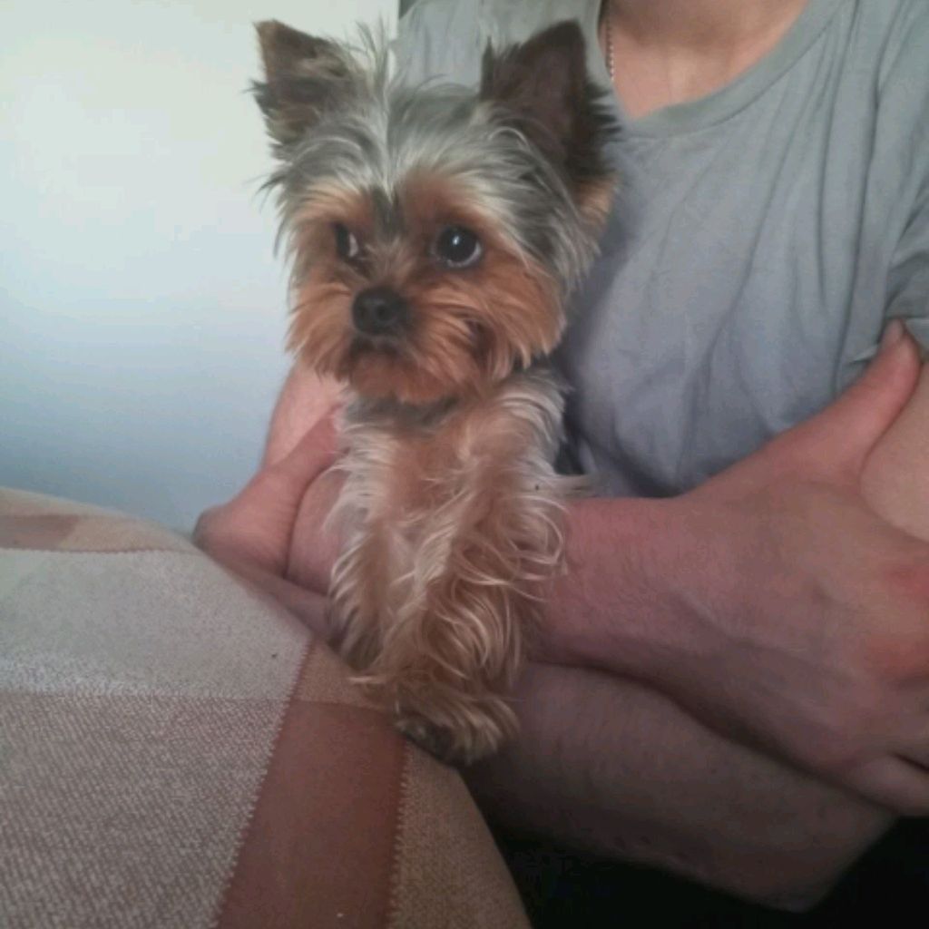 Иконка канала ВСЕЛЕННАЯ РЭПА👽