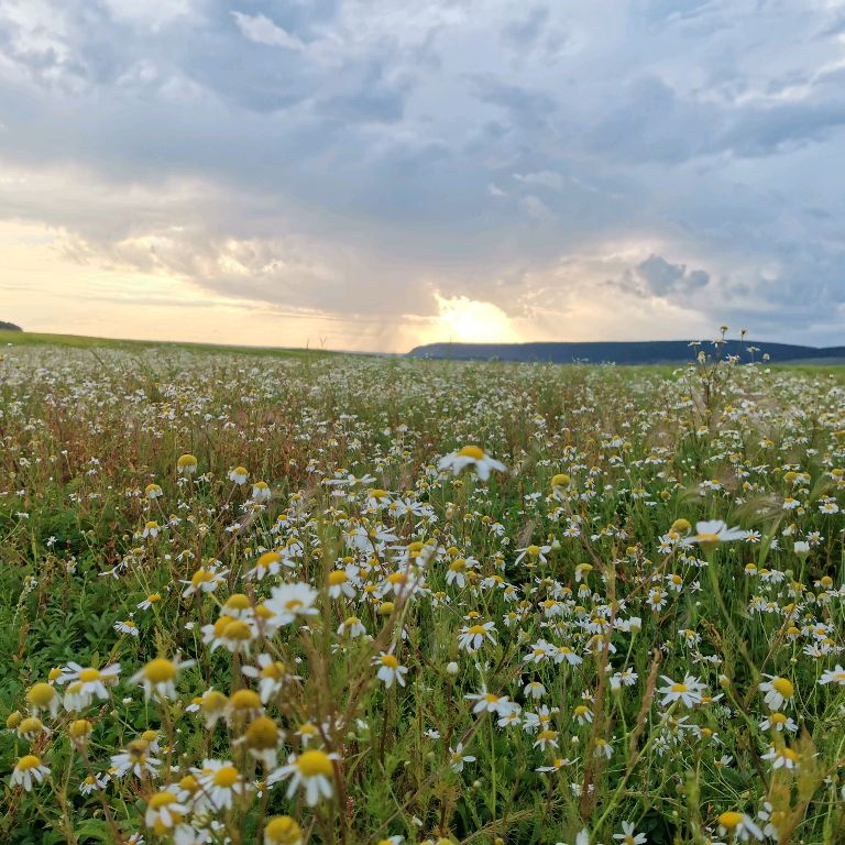 Иконка канала Александра