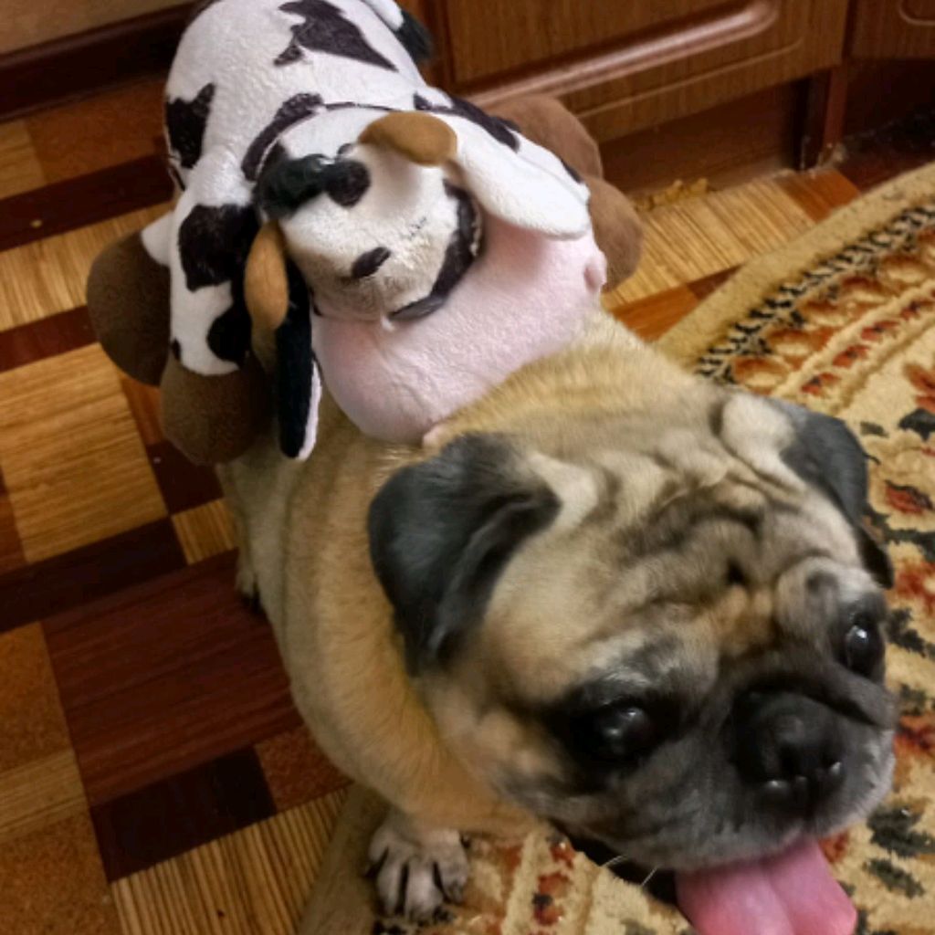 Иконка канала Мария Класс