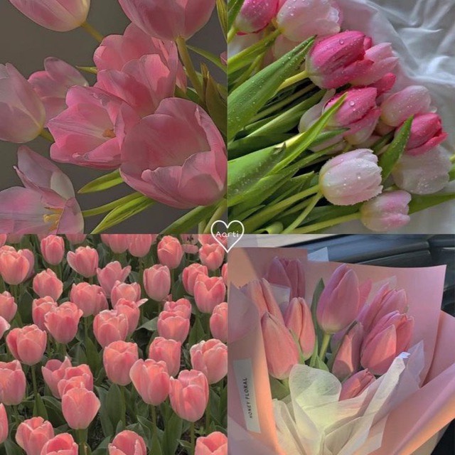 Иконка канала Твой Мир | Мысли