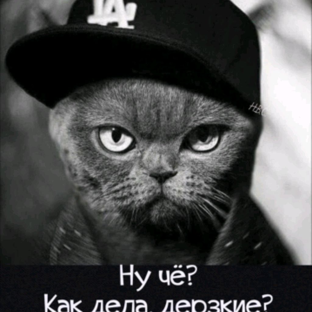 Иконка канала KLanGs