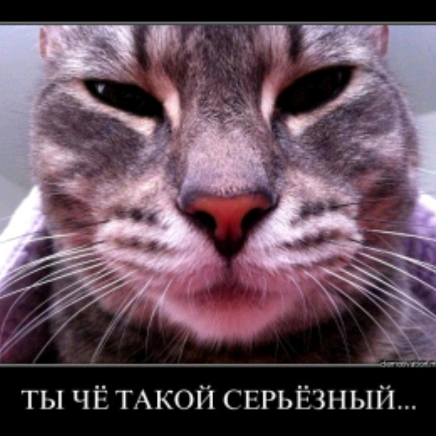 Иконка канала Разное и не серьезное