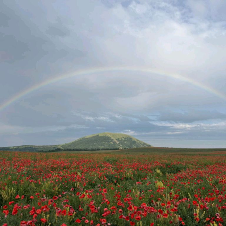 Иконка канала Жизнь в удовольствие