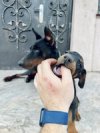 Иконка канала AikNP