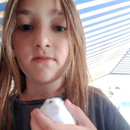 Иконка канала Наши  питомцы 🐹🐹🐹🐹🐹🐈⬛🐈🐕🦔🦔🐦⬛