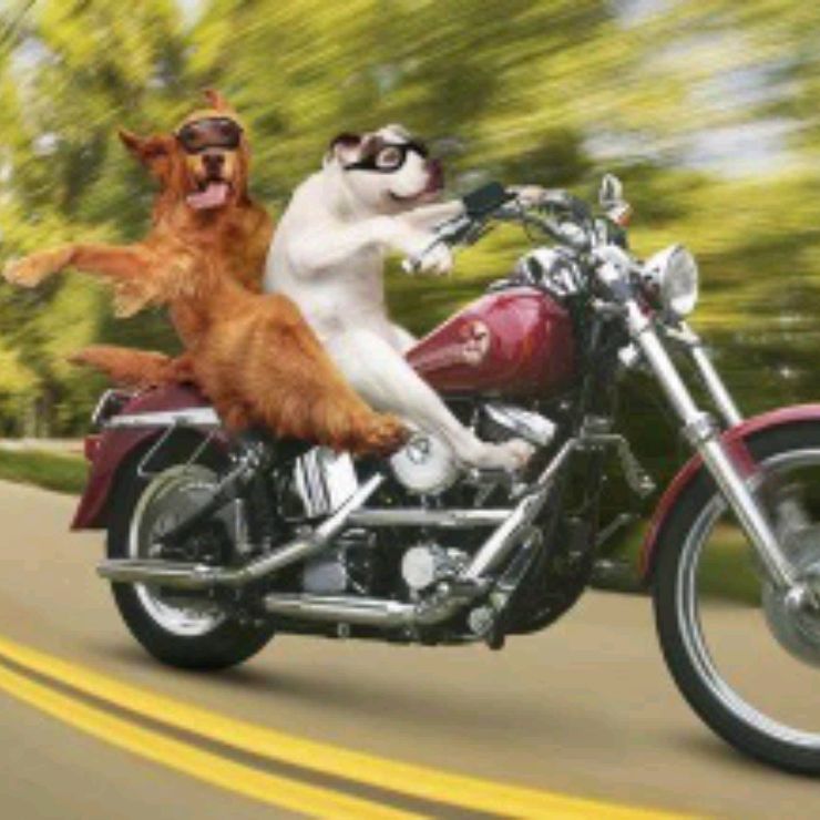 Иконка канала Тюмень