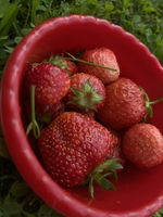 Иконка канала 🫶🏻