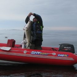 Иконка канала Морская рыбалка с Михалычем 51