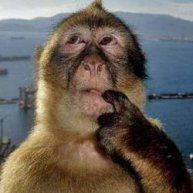 Иконка канала channel49769775