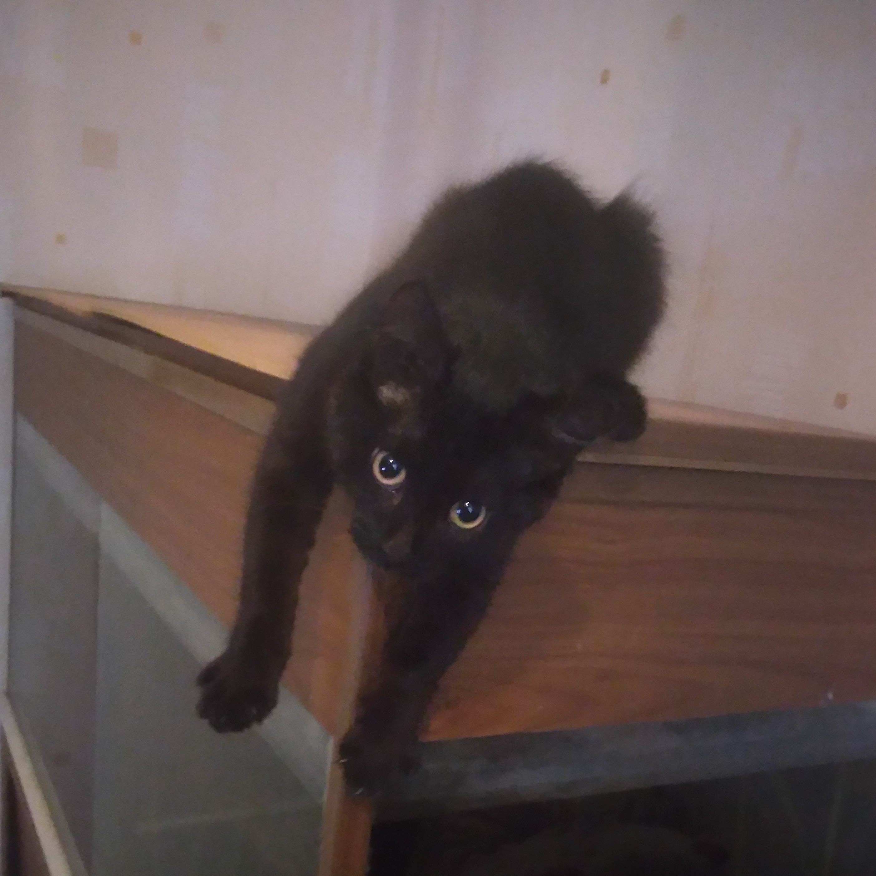 Иконка канала Смешная Дуся