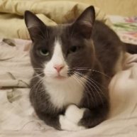 Иконка канала Парк развлечений Андрея