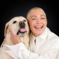 Иконка канала Platinum City