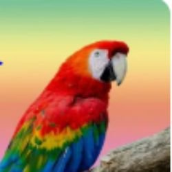 Иконка канала Кеша