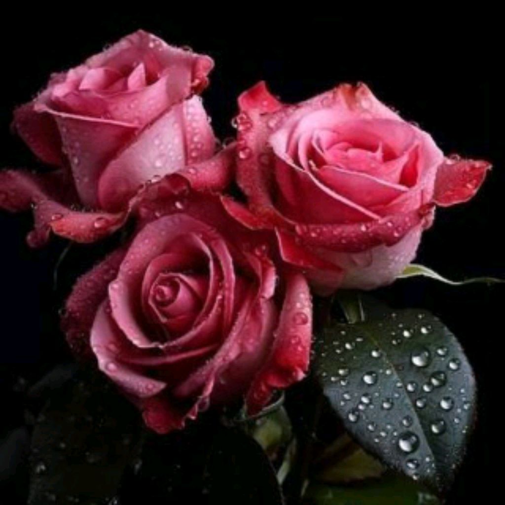 Иконка канала Иисус Христос