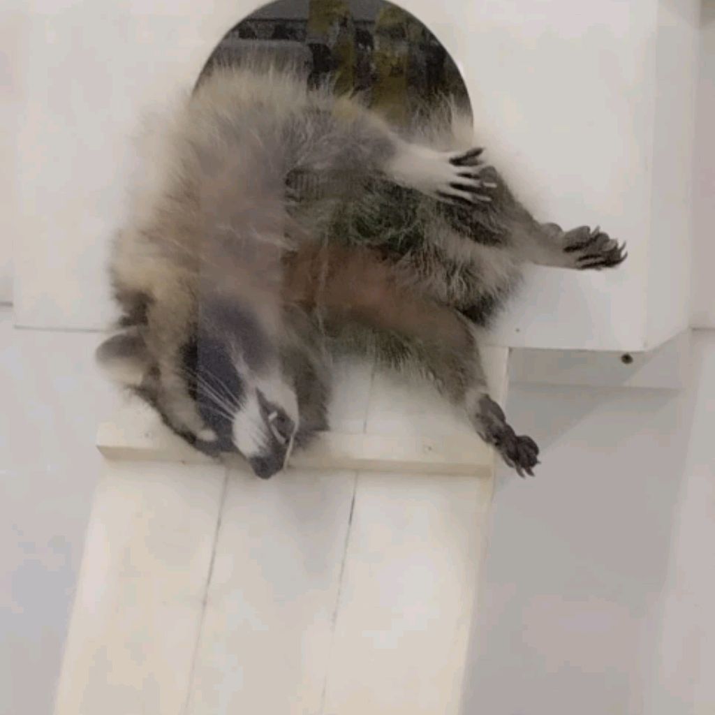 Иконка канала Роблокс