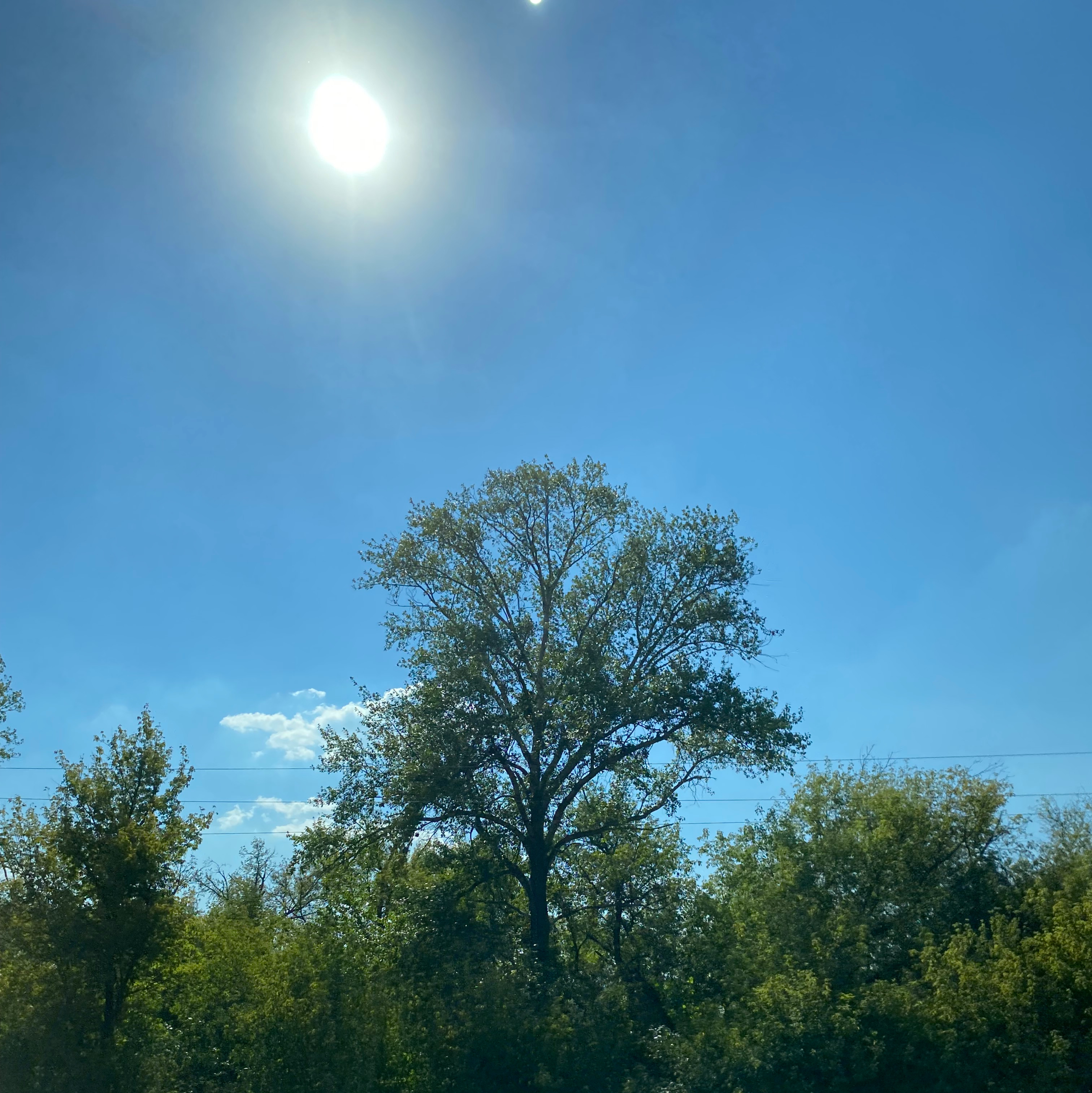 Иконка канала Нинелька