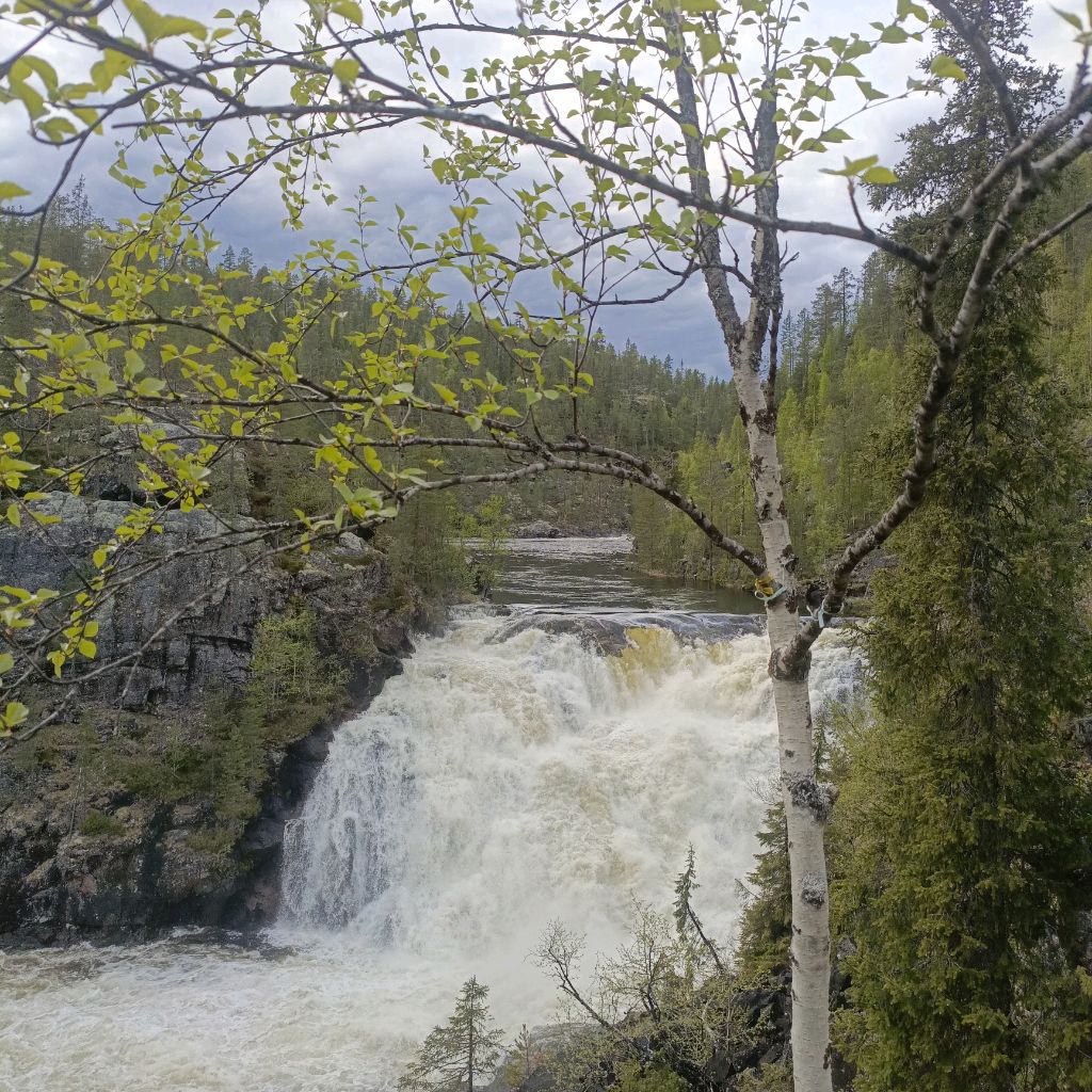 Иконка канала На СЕВЕРЕ НЕ ТАКАЯ УЖ ЖУТЬ