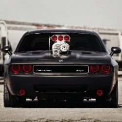 Иконка канала PadmenXJ9