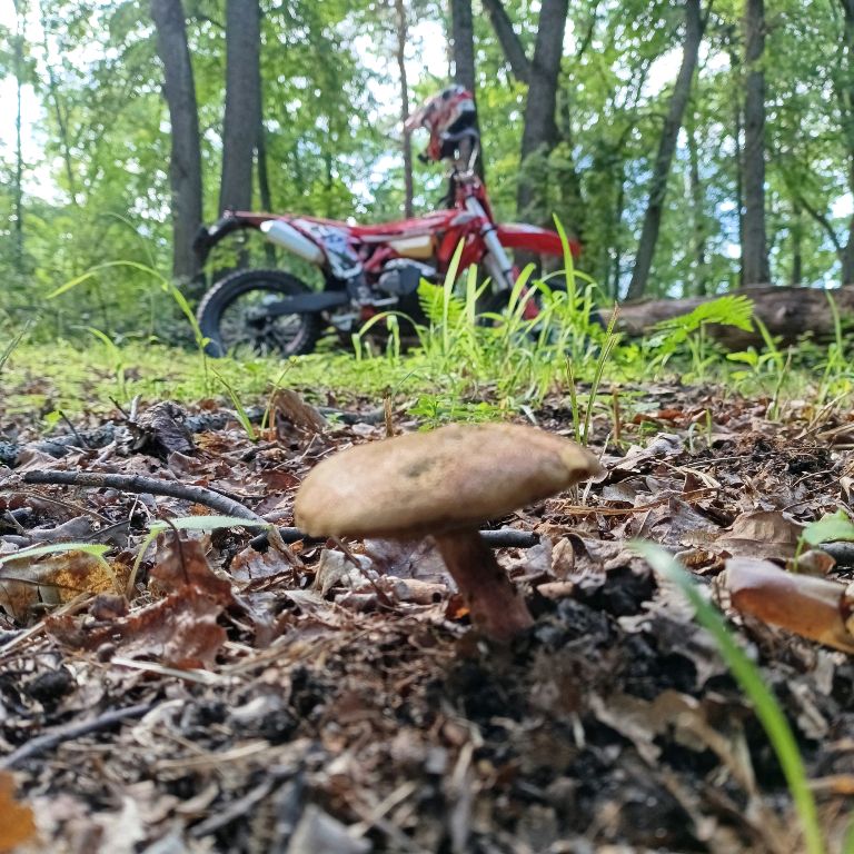 Иконка канала Sergey_A