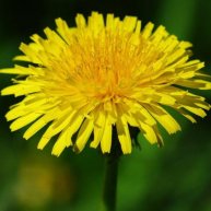 Иконка канала Дмитрий