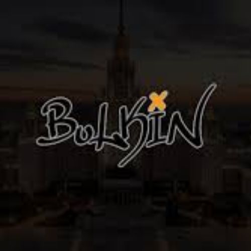 Иконка канала Bulkin / Булкин