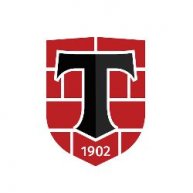 Иконка канала Теллура. Кирпич ручной формовки