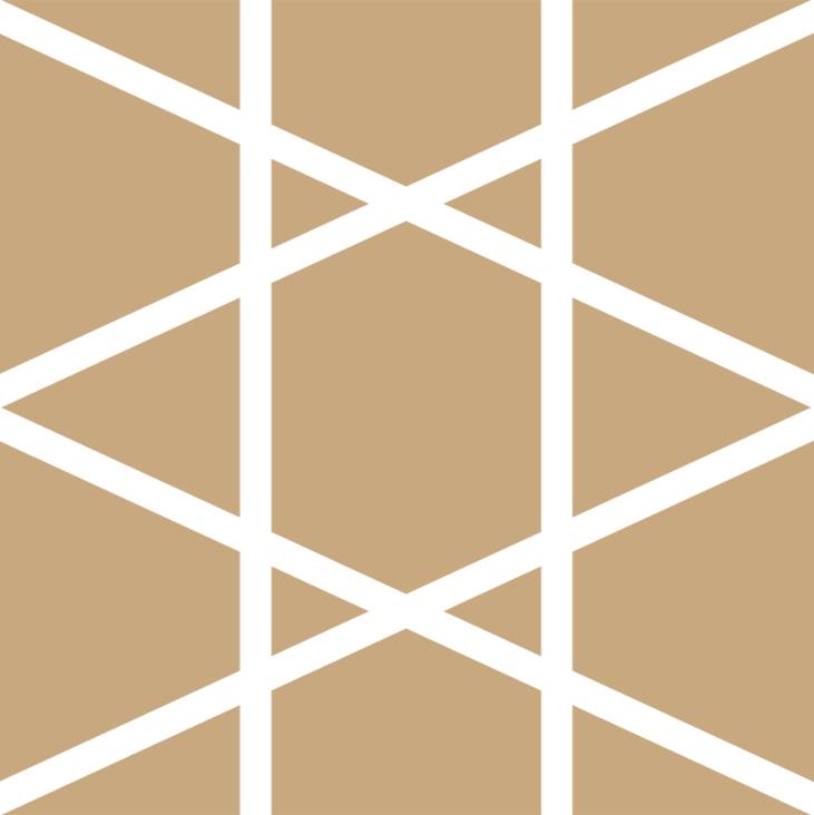 Иконка канала VANPAK