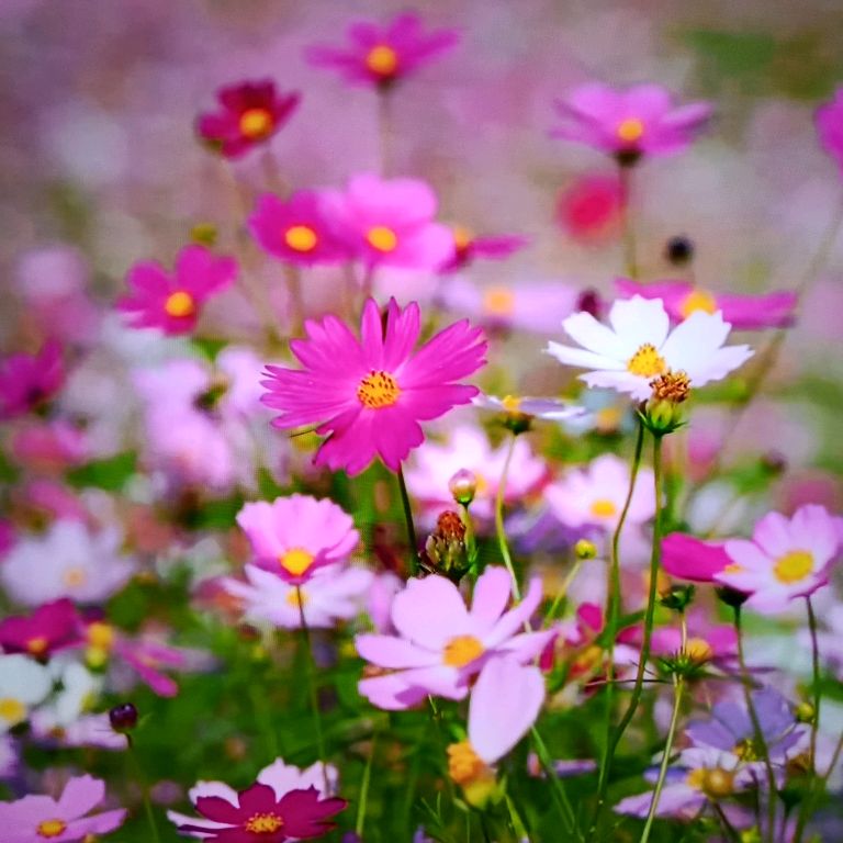 Иконка канала ЛУЧЕЗАРНЫЙ СВЕТ