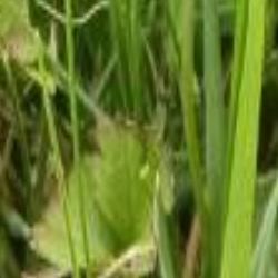 Иконка канала Pavel Vladimirovich channel66557189