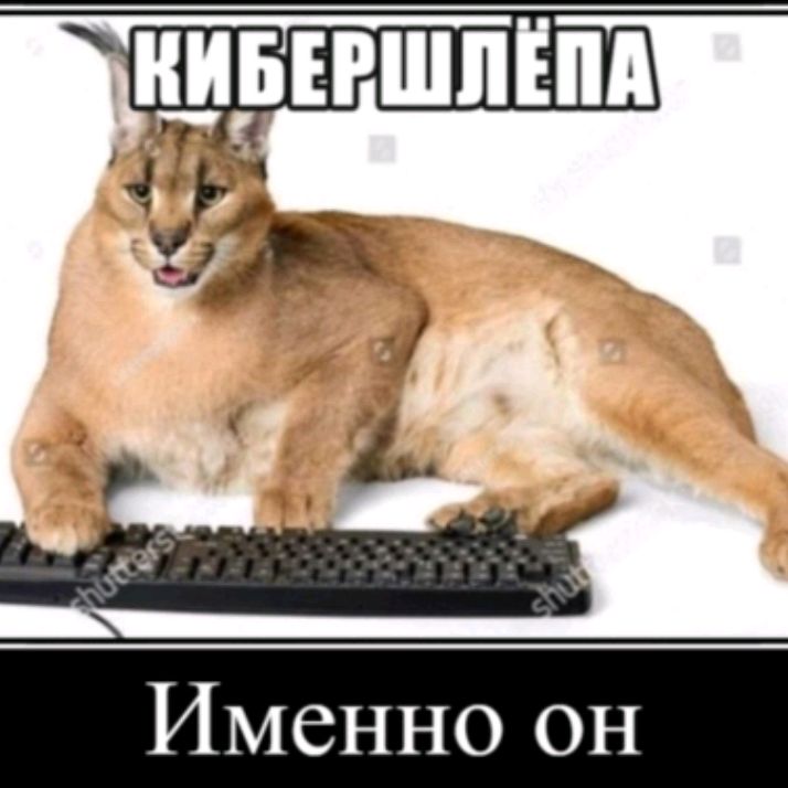 Иконка канала Шлёпа