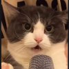 Иконка канала channel42228122