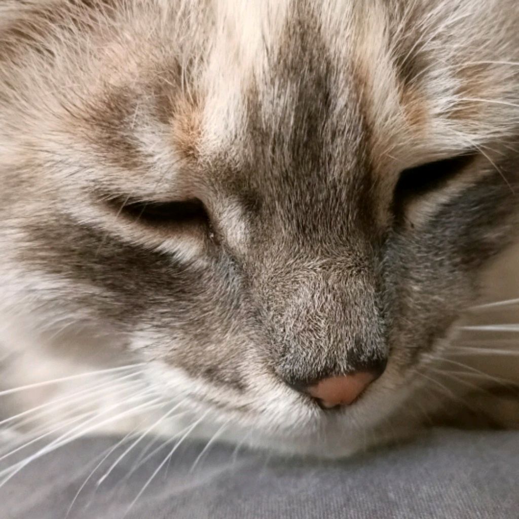 Иконка канала Артур Пирожков