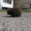 Иконка канала Саша Про999