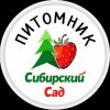 Иконка канала Питомник растений Сибирский сад