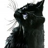 Иконка канала Mavkys
